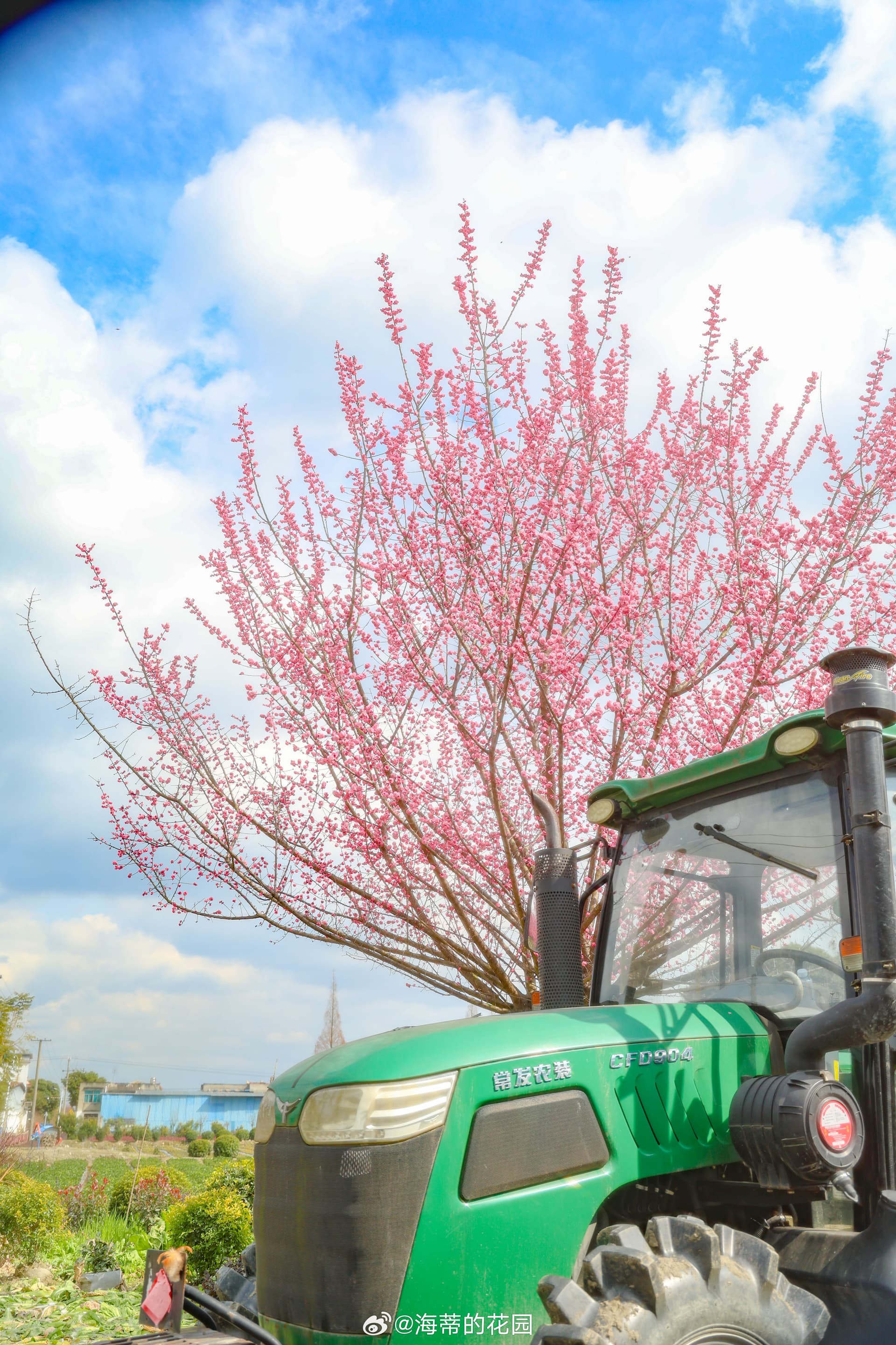 Bid Farewell to the Snake Year's First Month: A Time for Reflection and ...